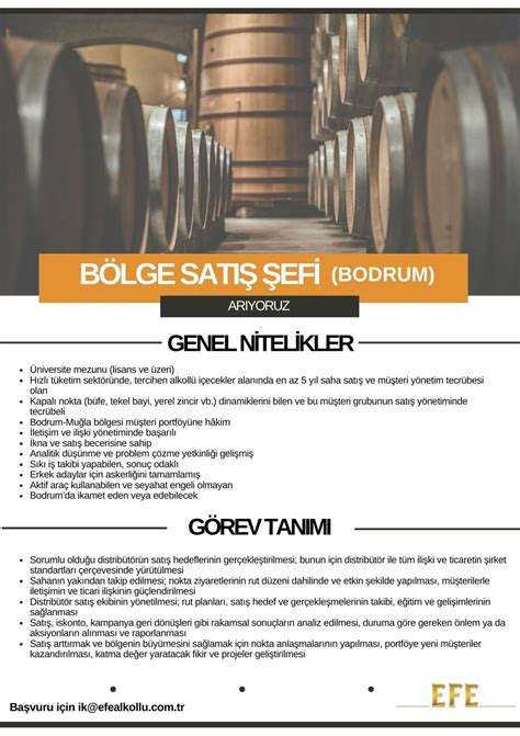 burcu yildiz on linkedin