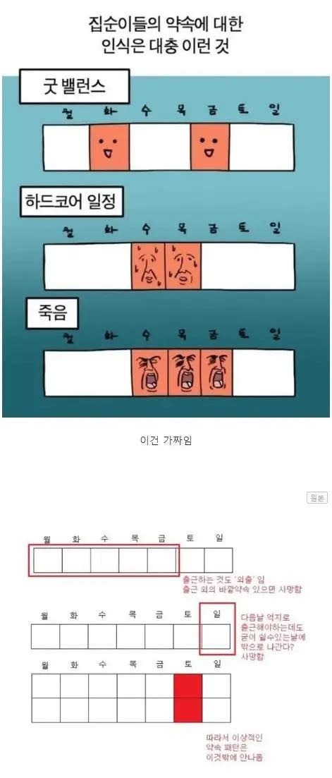 웹진 인벤 집순이 집돌이들의 이상적인 약속 패턴 오픈이슈갤러리