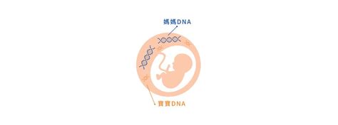 非侵染色體篩檢 良全婦產科診所