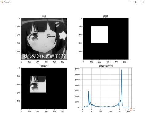 图像识别 6opencv的直方图与matplotlib库入门cvblur需要什么库 Csdn博客