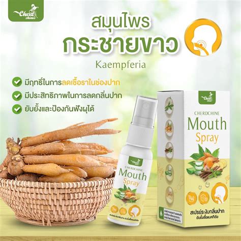 Cherdchine Mouth Spray 20 Ml สเปรย์พ่นคอ เฉิดฉาย รลดกลิ่นปาก ยับยั้ง