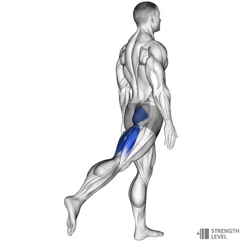 Common Hip Extensor Issues How To Make Sure They Are No Longer In Your