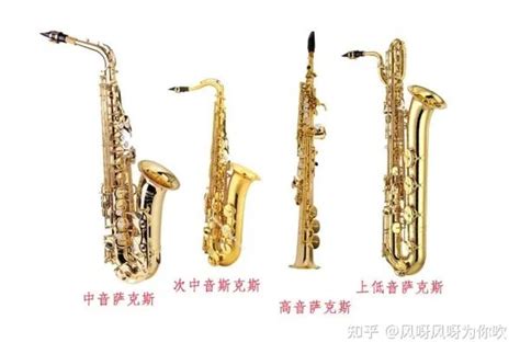 萨克斯哪个牌子好？新手怎么选购萨克斯？最新款高性价比音质好的萨克斯选购指南及品牌推荐 知乎