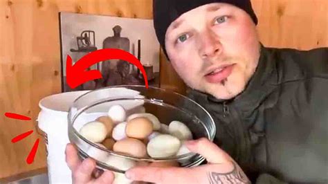 How To Store Eggs Long Term Without Refrigeration Diy Joy