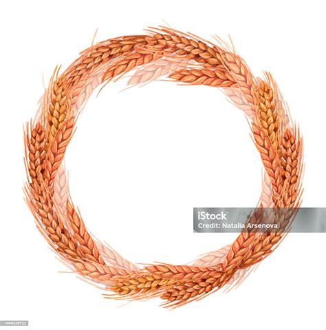 수채화 시리얼 밀 오트밀 보리 클립 아트 보헤미안 결혼식 베이커리 로고 농장 클립아트 빵과 베이커리 라운드 프레임에 대한 밀