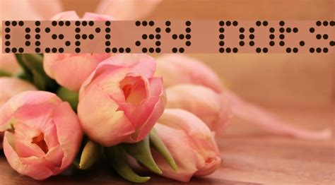 Display Dots Font