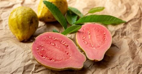 Lupus Vs Rosacea Differences Strong Causes And More 2025
