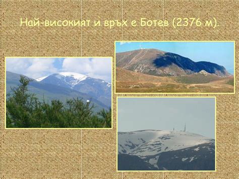 Ppt Човекът и обществото ЗИП Іv клас Powerpoint Presentation Id 5850620