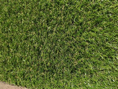 Vega 19mm Artificial Grass 4m Artificial Grass Warehouse