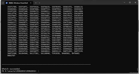 Windows下oracle19c补丁安装与回退oracle19c打补丁具体步骤 Csdn博客