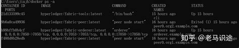 在win10下使用docker安装fabric 20区块链测试网络 知乎