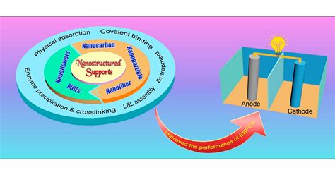 Tailoring Nanostructured Supports To Achieve High Performance In Enzymatic Biofuel Cells Acs