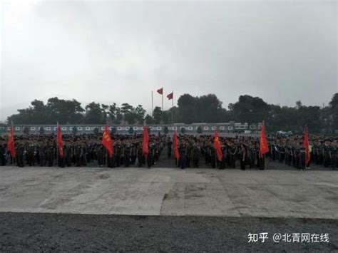 好绿源科技 青少年成长与企业发展的双重引擎 知乎
