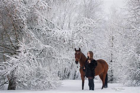 лошади / человек и лошадь horse and human