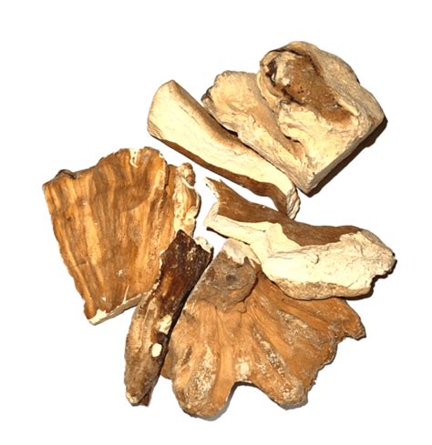 Dried Chicken Of The Woods Mushrooms 4 Oz Myalche