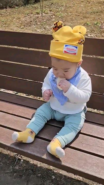 224 누가 공원벤치에 인형 올려놨어🐶 아 강아지였구나 Youtube