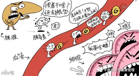 血糖高的背后是胰岛素抵抗问题