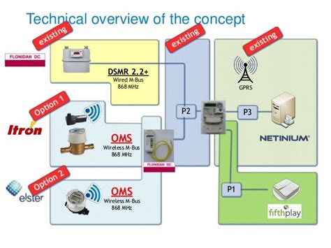 Dutch Multi Utility Smart Metering With Direct In Home Feedback
