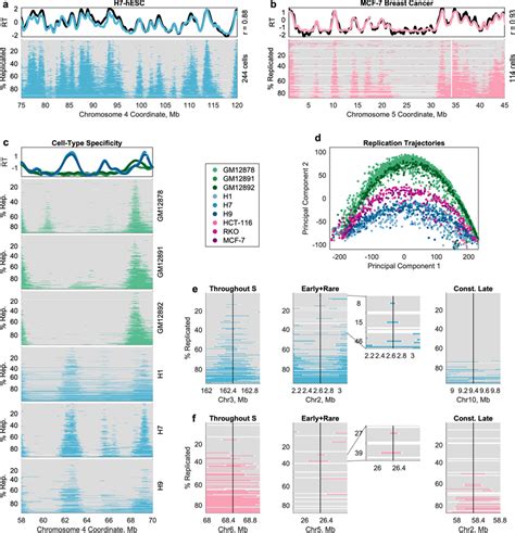 Comprehensive Measurement Of Single Cell Replication Timing Across Cell Download Scientific
