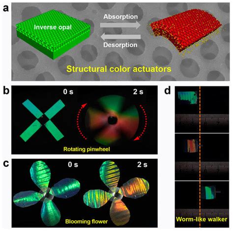 Research Progress Of Bioinspired Structural Color In Camouflage