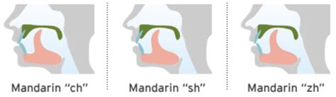 Pronunciation Of Hong Kong Speakers Of Mandarin Corpus Based Mandarin