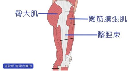 膝蓋彎曲外側會痛？有可能是髂脛束症候群的問題！ 跑步 運動視界 Sports Vision