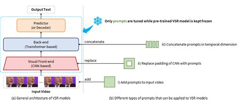 prompt tuning of deep neural networks for speaker adaptive visual