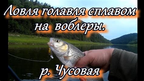 Ловля голавля сплавом на воблеры. р. Чусовая - YouTube