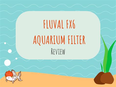 Fluval Fx6 Review Is It Worth The Money And What Is All The Hype About