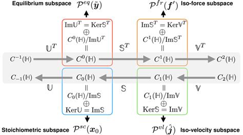 Diagrammatic Representation Of The Four Subspaces And Their Download Scientific Diagram