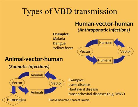 Vector Borne Diseasespptx
