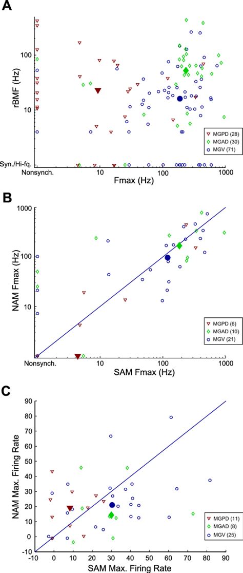 Amplitude Modulated Am Stimuli Reveal Best Modulation Rates For