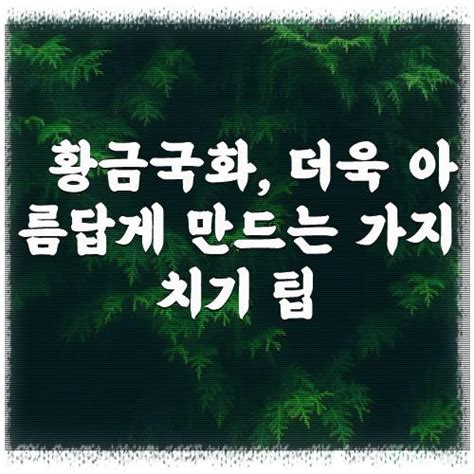 황금국화 더욱 아름답게 만드는 가지치기 팁