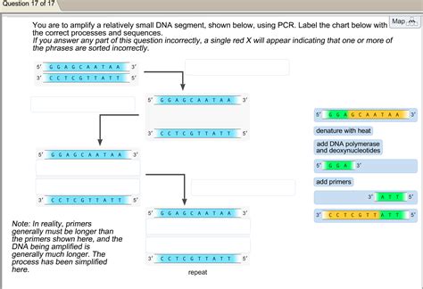 you are to amplify a relatively small dna segment