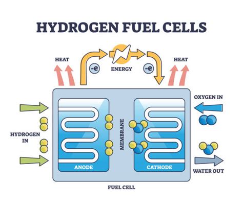 The Best Portable Hydrogen Water Generators Wistomagazine