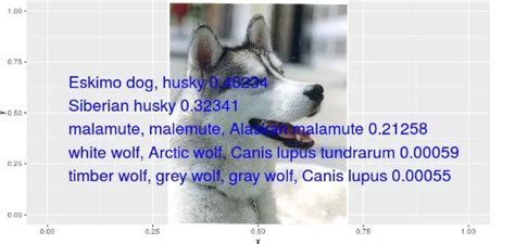 基于 tensorflow 的图像识别（r实现） 知乎