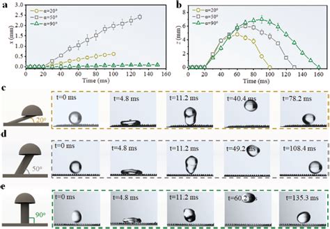 Directional Bouncing Performance Of Water Droplets On Different Bionic Download Scientific