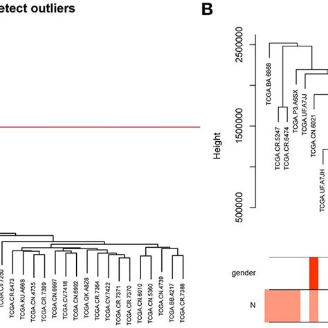 A Clustering Dendrogram Of 41 Samples And Excluding 1 Outlier