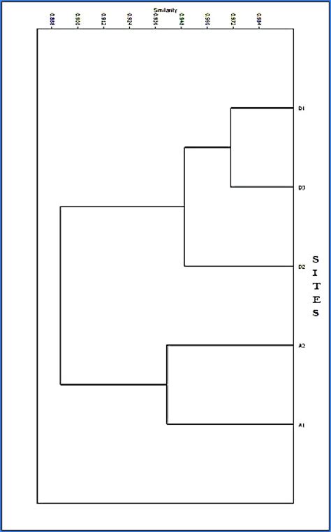Dendrogram Similarity Index Derived From Hierarchical Cluster