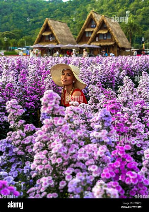 Flower Garden Hokkaido Park In Khao Yai Thailand Stock Photo Alamy