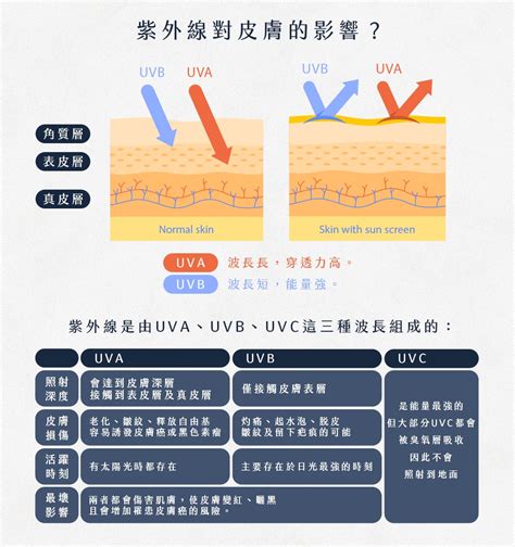 Mymy 官方網站｜韓國保養保健品