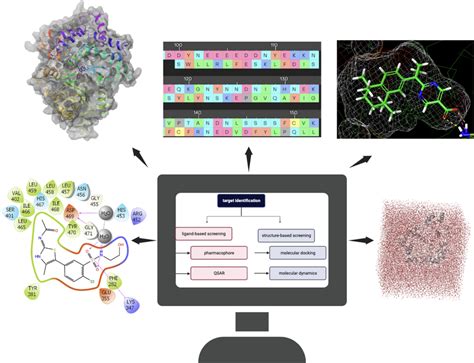 A Summary Of Common Computational Techniques Employed In Drug Discovery