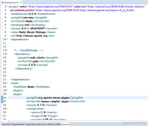 redis redis type forking csdn博客