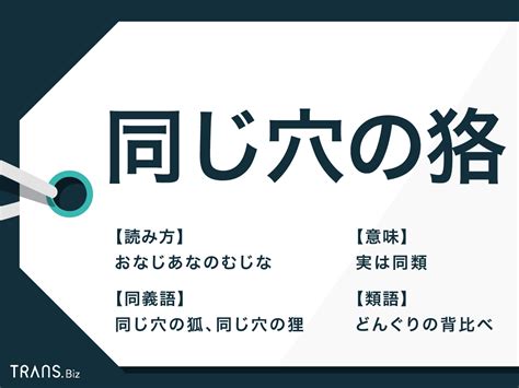 「同じ穴の狢」の意味とは？由来・類語と使い方も（例文付き） Transbiz