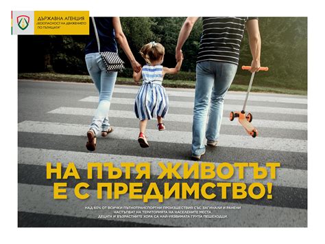 Професионална гимназия по селско стопанство гр Нови пазар Начало