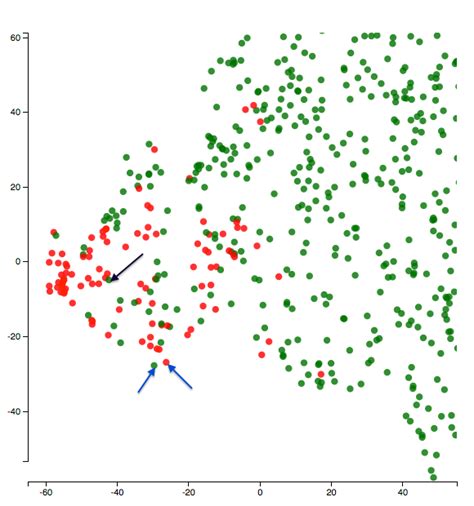 Understanding Neural Networks By Embedding Hidden Representations