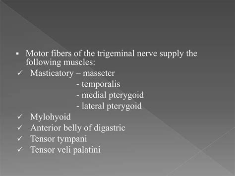 Trigeminal Nerve Ppt Pptx