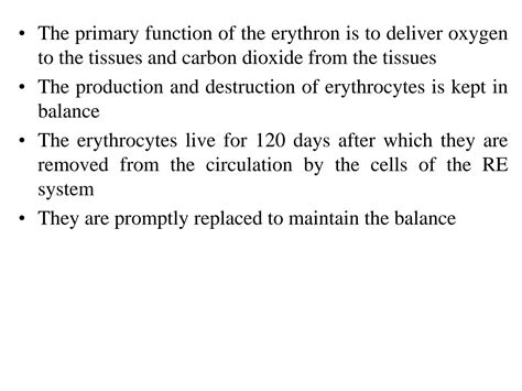 Solution Erythrocyte Maturation Physiology And Life Cycle Studypool