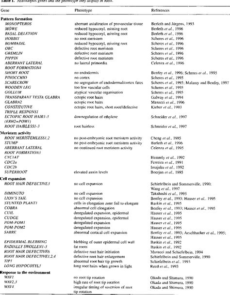 Table From The Arabidopsis Root As A Model To Study Plant Development Semantic Scholar