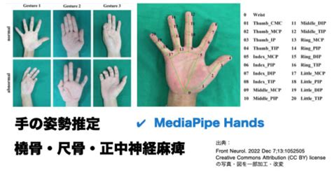 【研究テーマ】リハビリ× Ai（人工知能・機械学習）活用 Pt・ot・stニュースblog：ptotstnews